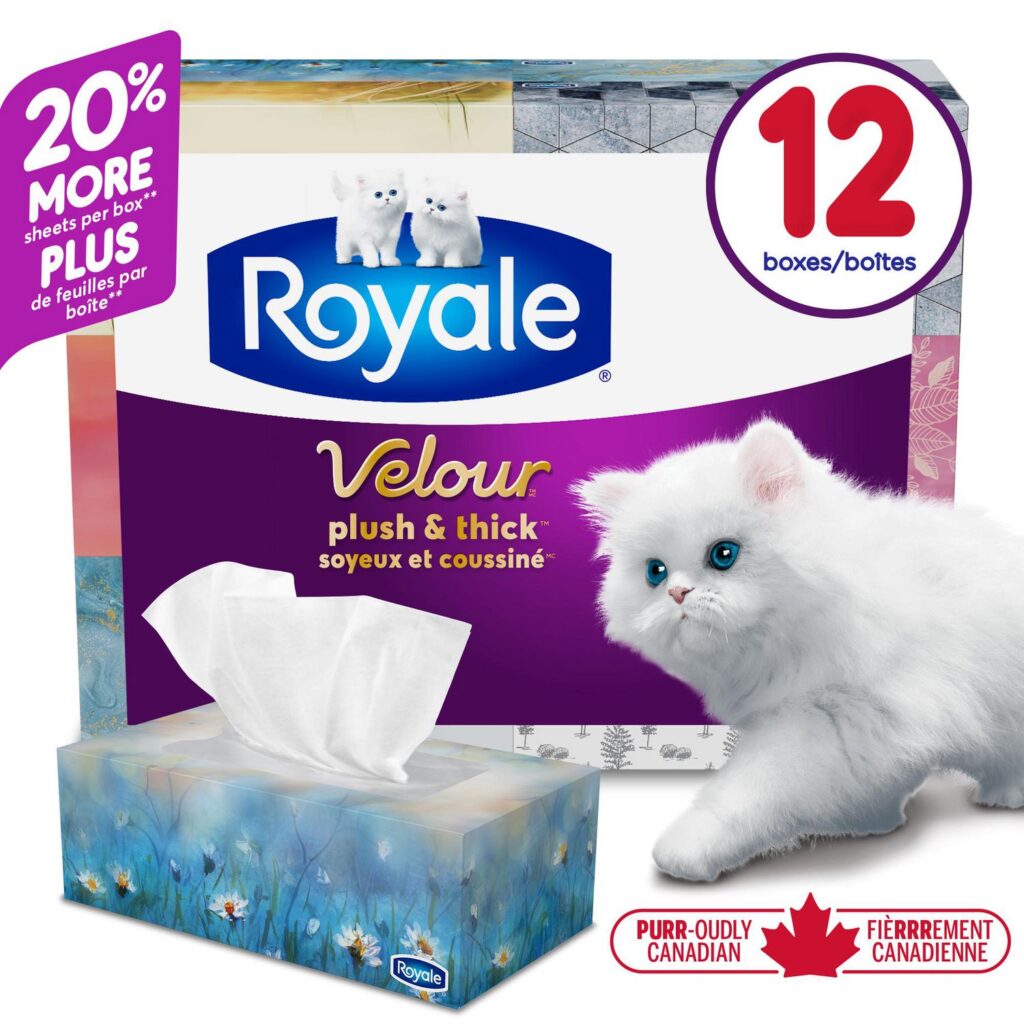 Wholesale Royale Facial Tissue 12Pack 3Ply 88 Sheet (12x88s) - Chens ...